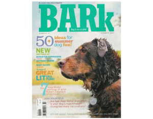 Bark Magazine | Leashes and Lovers